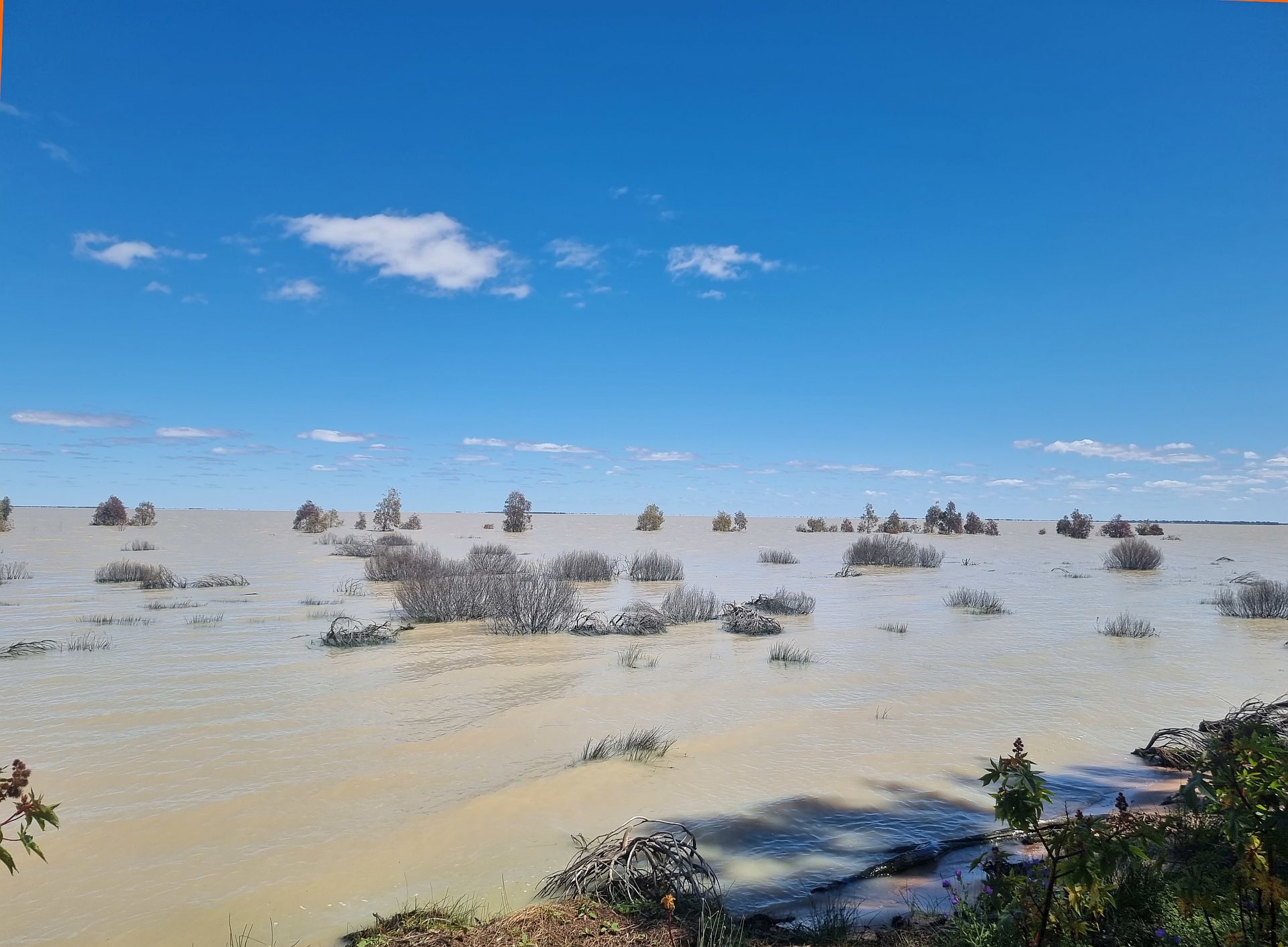 Menindee Caravan Park – The Van